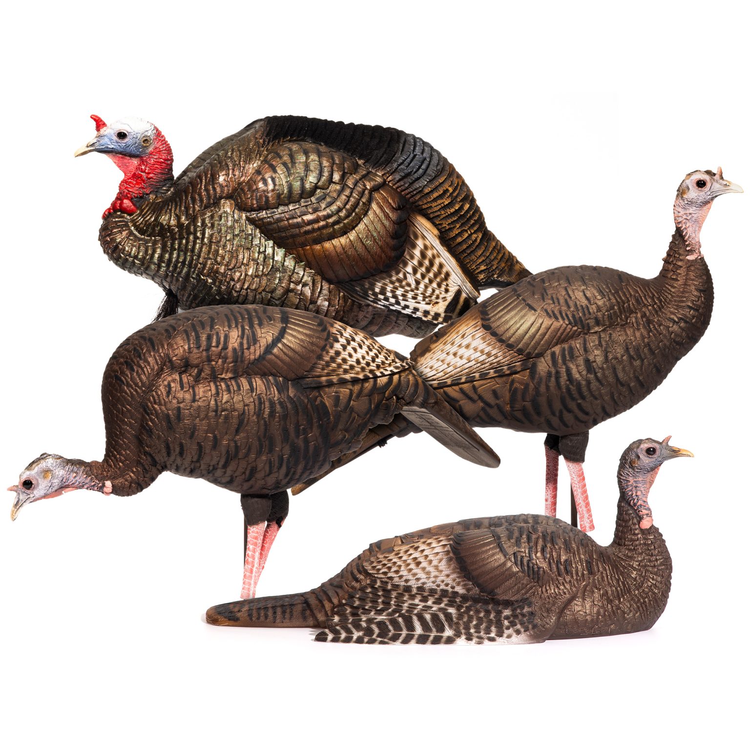 Dave Smith Decoys – The Most Effective Decoys on the Market