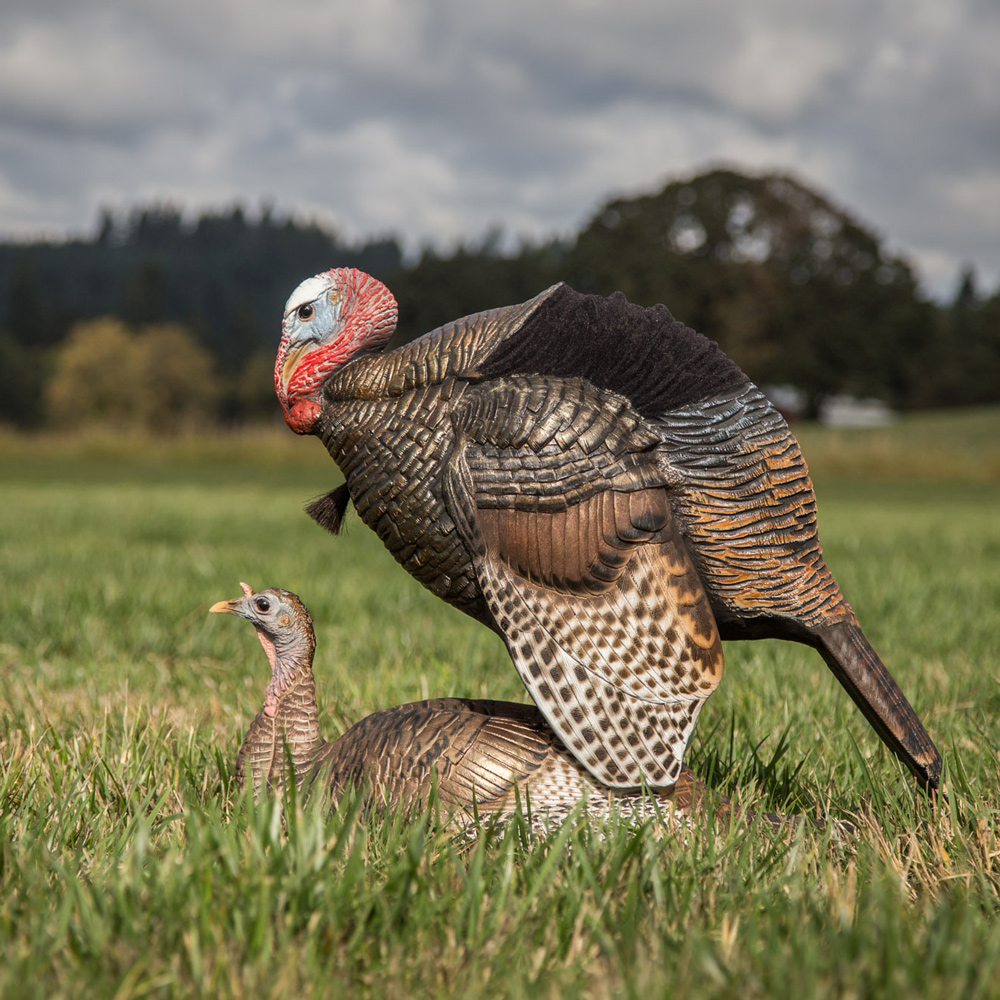 Mating Motion Pair – Dave Smith Decoys