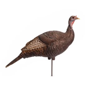 Turkey Decoys – Dave Smith Decoys