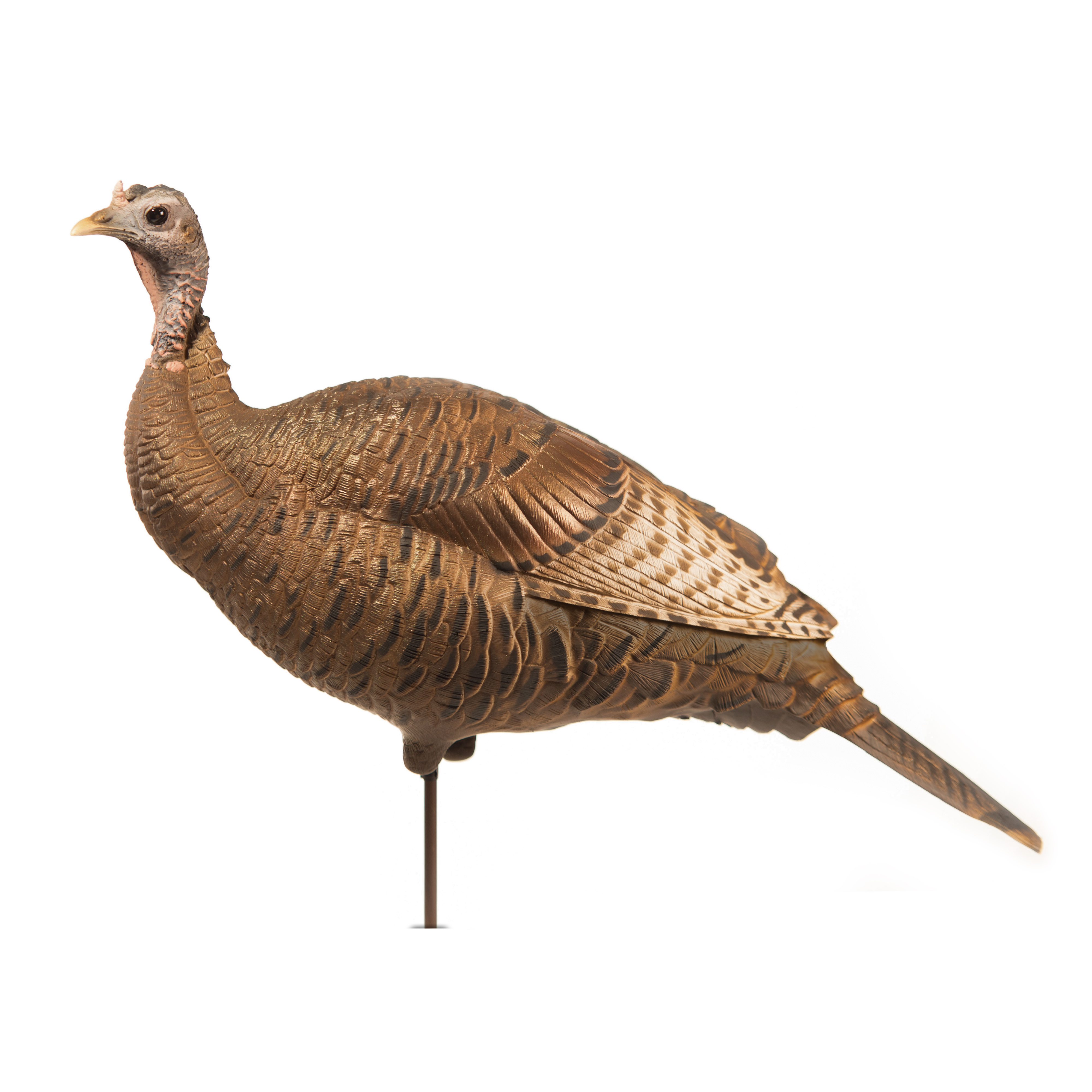 Turkey Flock – Dave Smith Decoys
