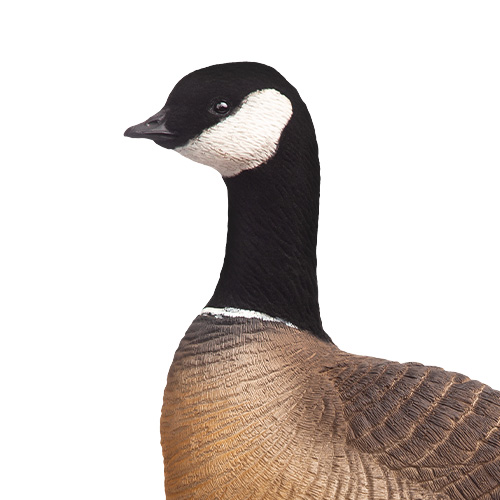 Cacklers | Upright 6-Pack – Dave Smith Decoys