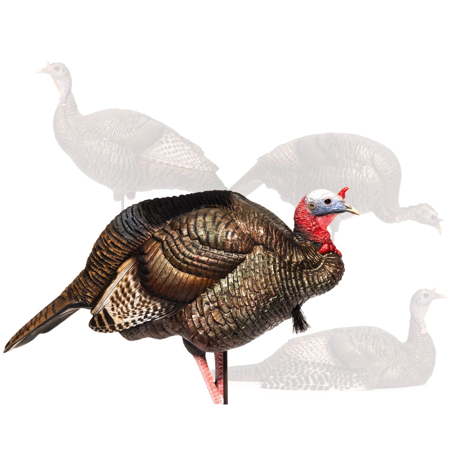 Custom Flock | 3/4 Strut Jake – Dave Smith Decoys
