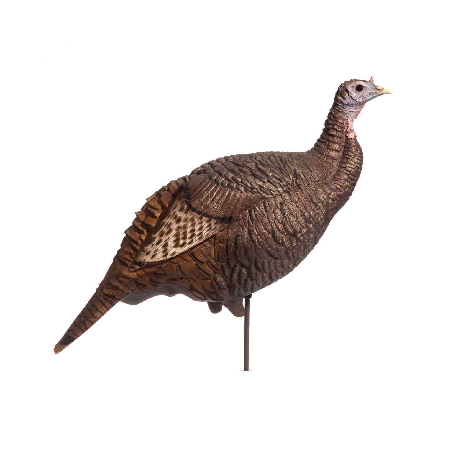 Turkey Decoys – Dave Smith Decoys