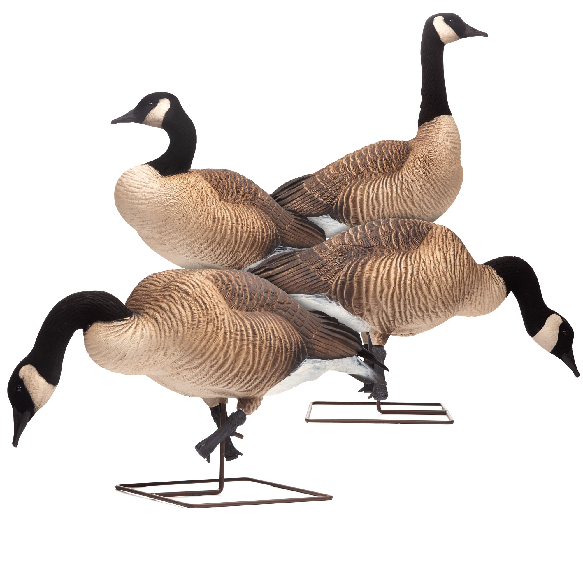 Large Canada Geese – Dave Smith Decoys
