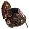 Strutter – Dave Smith Decoys