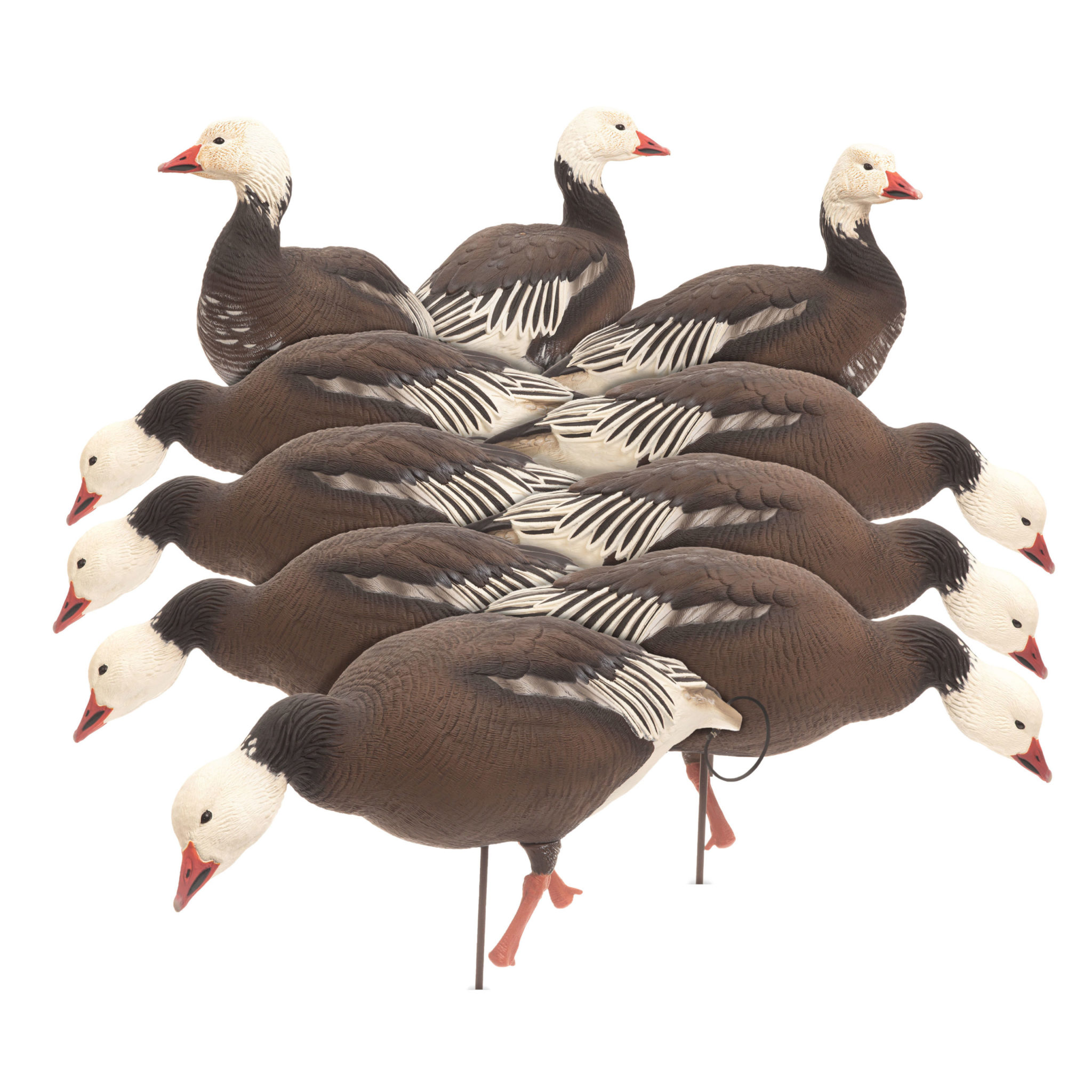 Goose Decoys – Dave Smith Decoys