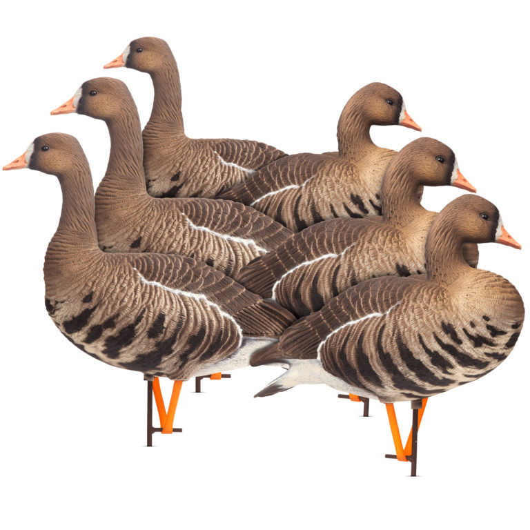 Maxima Sleeper Shell – Dave Smith Decoys