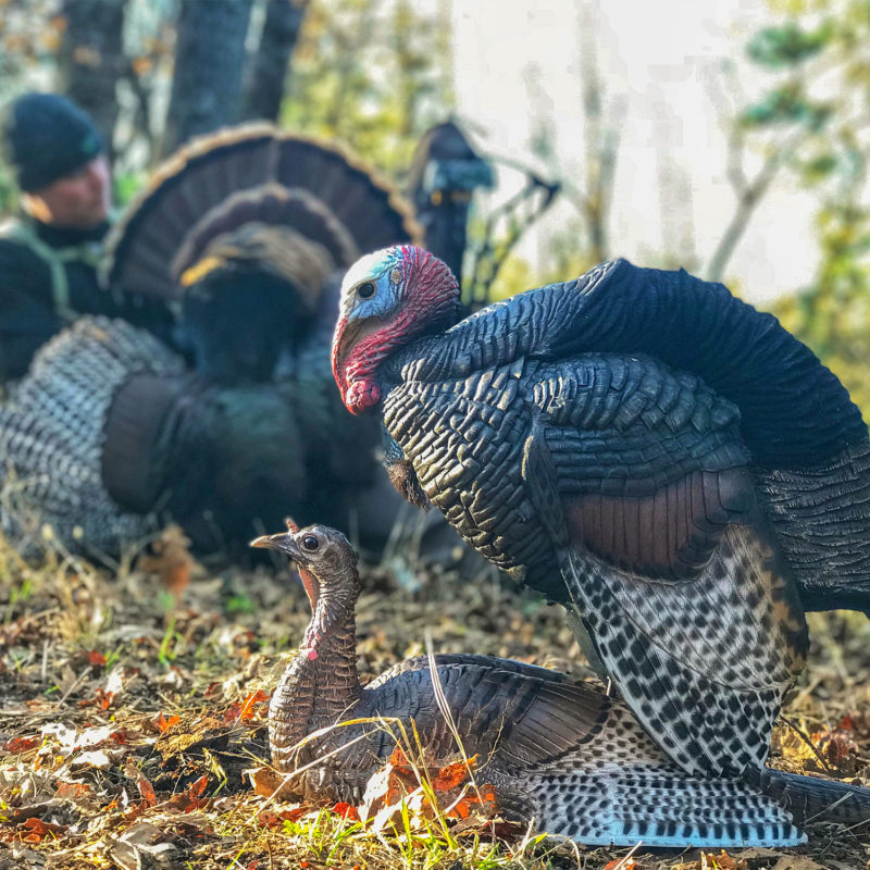 Mating Motion Pair – Dave Smith Decoys