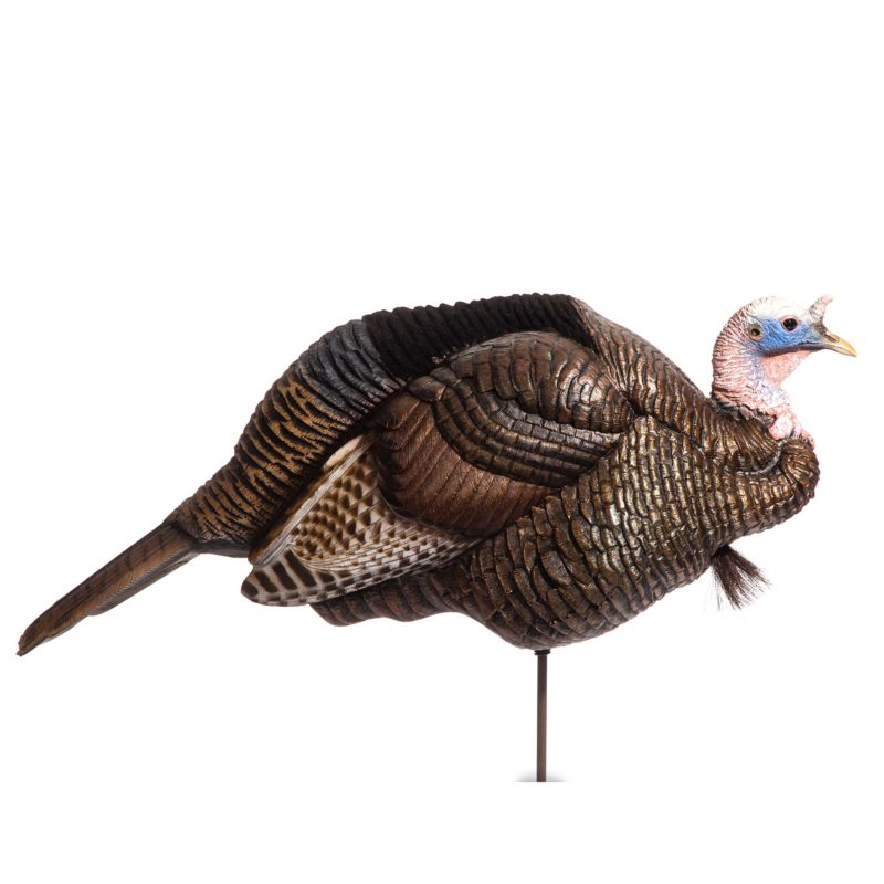 3/4 Strut Jake Decoy – Dave Smith Decoys
