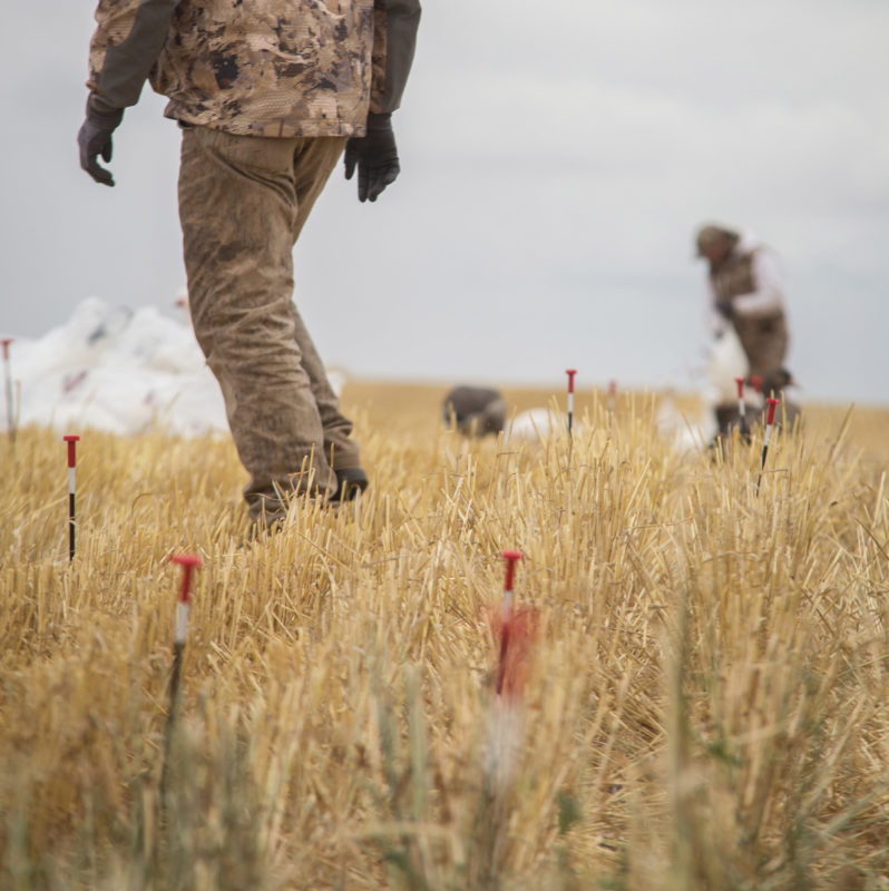 Snow Goose Long Stakes | 10-Pack – Dave Smith Decoys