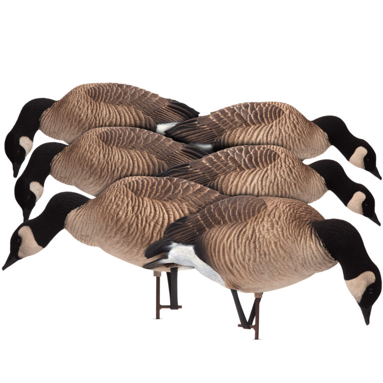 Maxima Sleeper Shell – Dave Smith Decoys
