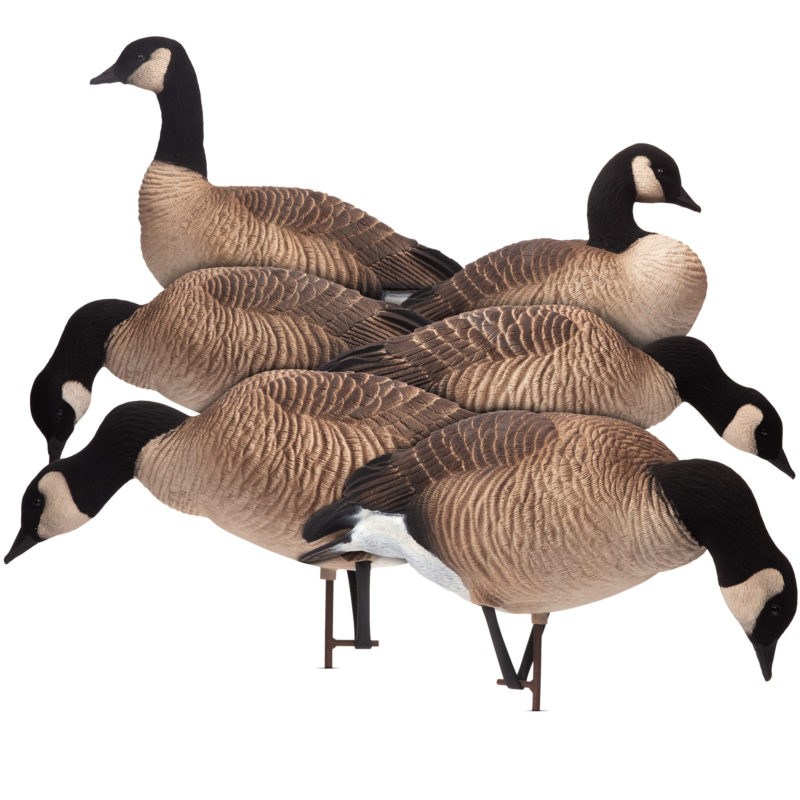 Maximas | Sleeper Shell 6-Pack – Dave Smith Decoys