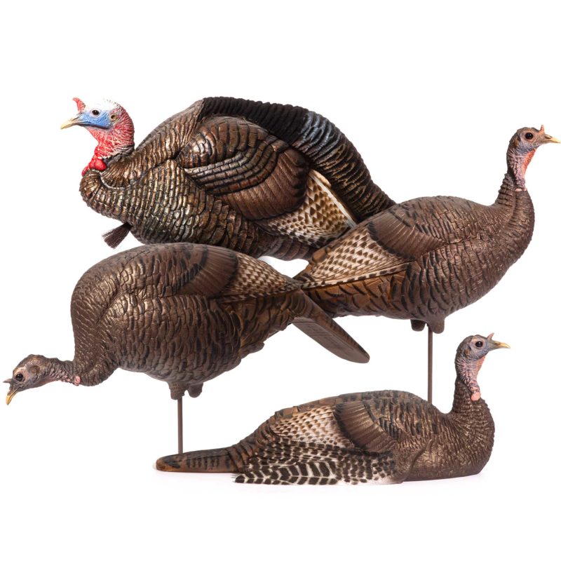 Custom Flock | 3/4 Strut Jake – Dave Smith Decoys