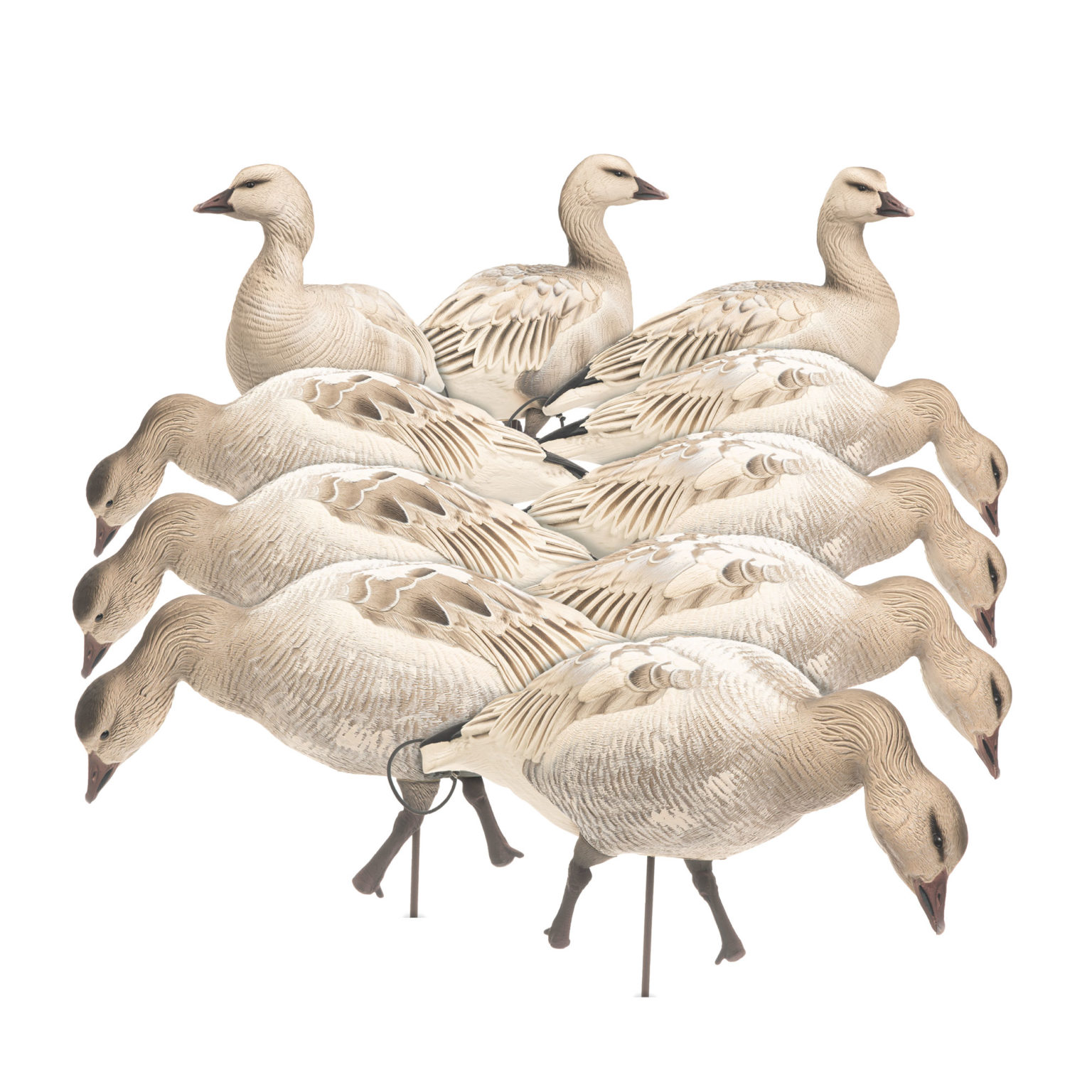 Snow Goose Juvie | Combo 10-Pack – Dave Smith Decoys