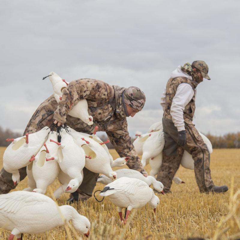Blue Goose | Combo 6-Pack – Dave Smith Decoys