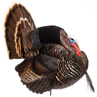 Turkey Decoys – Dave Smith Decoys