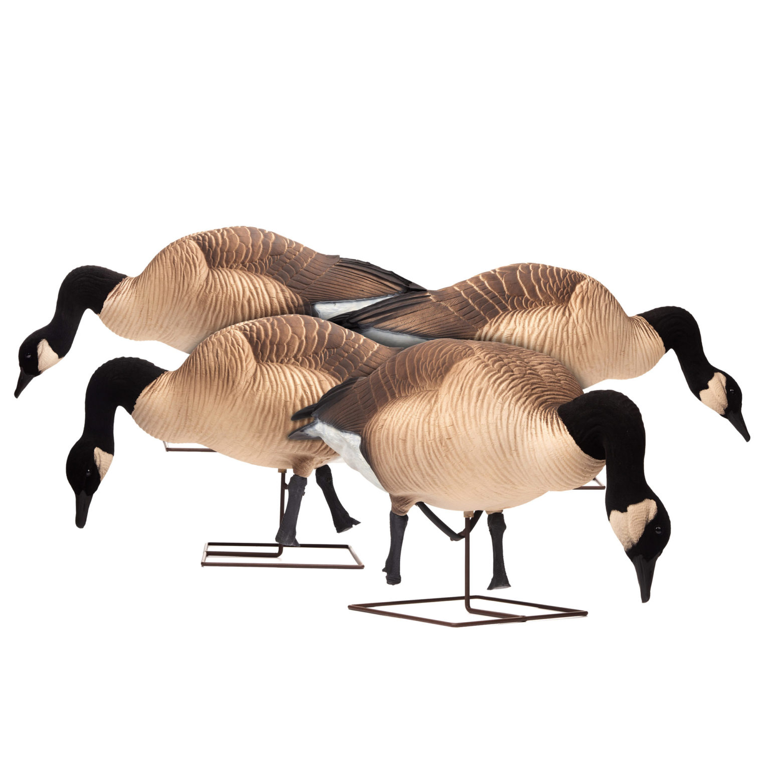 Goose Decoys – Dave Smith Decoys