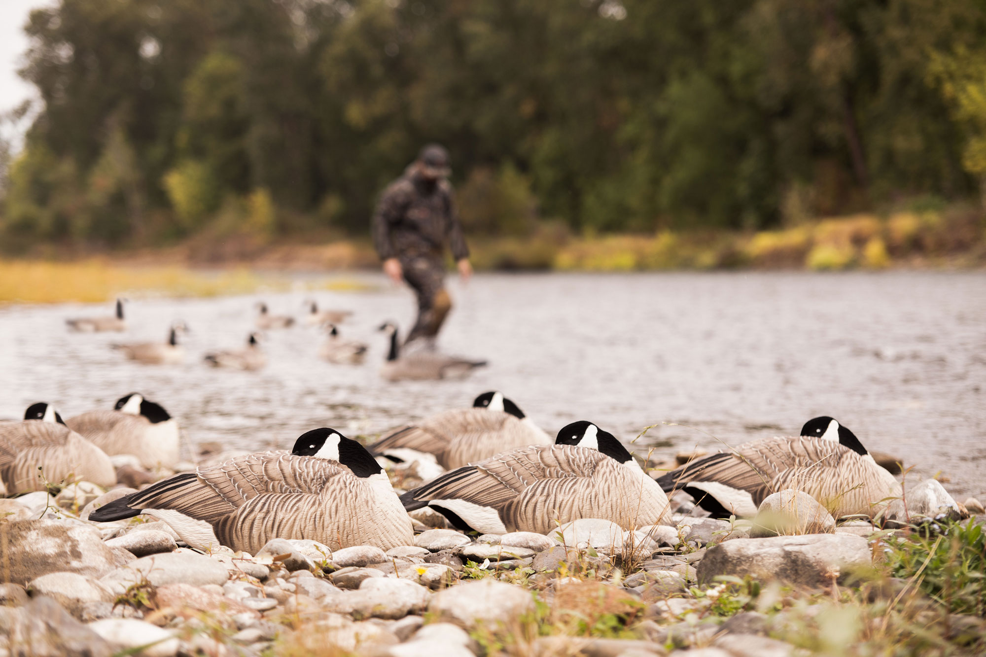 Dave Smith Decoys – The Most Effective Decoys on the Market