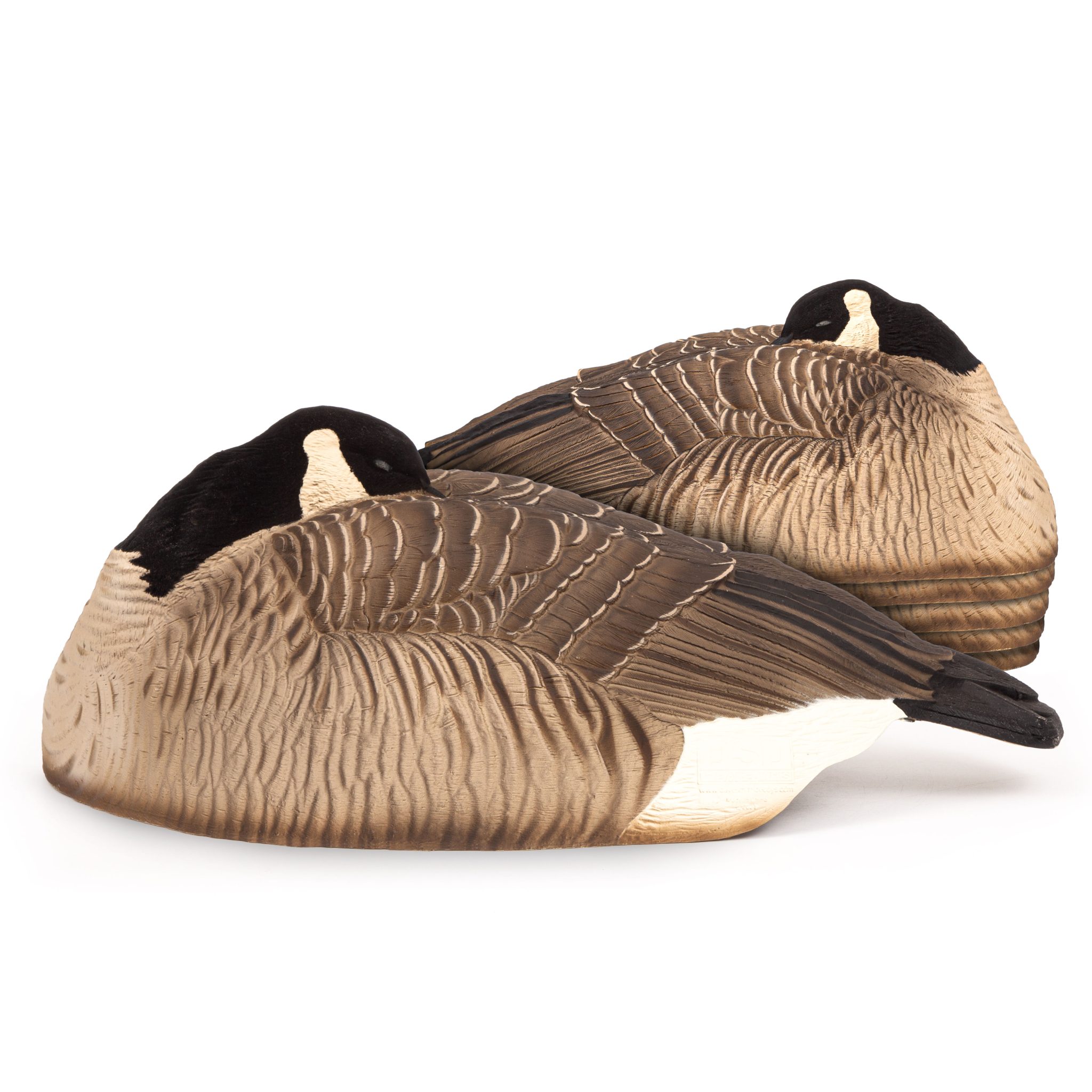 Maximas | Sleeper Shell 6-Pack – Dave Smith Decoys