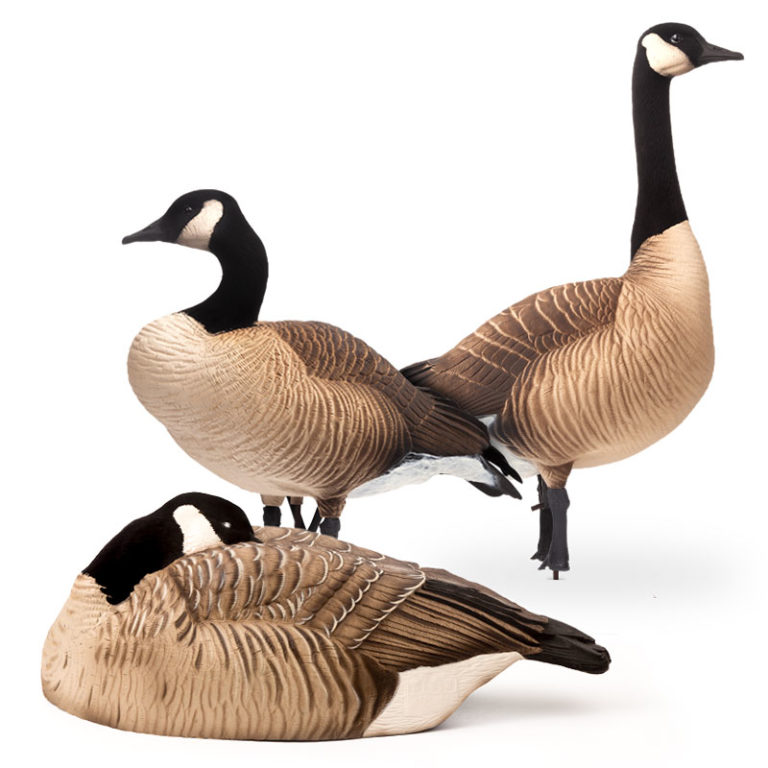 Waterfowl Decoys – Dave Smith Decoys