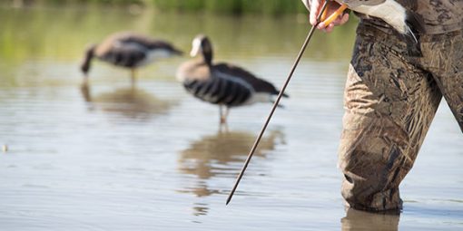 Waterfowl Decoys – Dave Smith Decoys