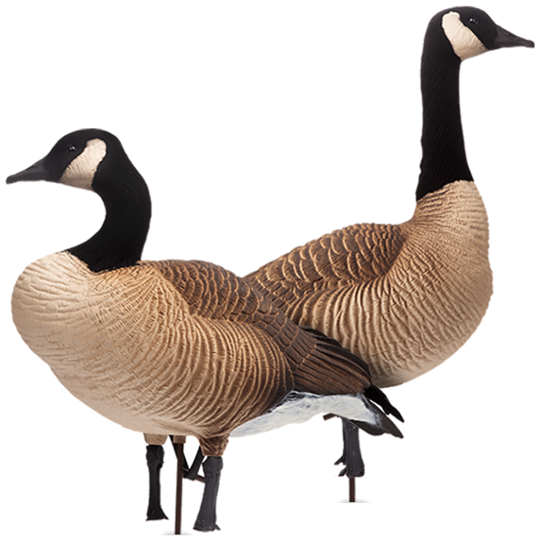 Honkers – Dave Smith Decoys