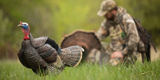 Turkey Decoys – Dave Smith Decoys