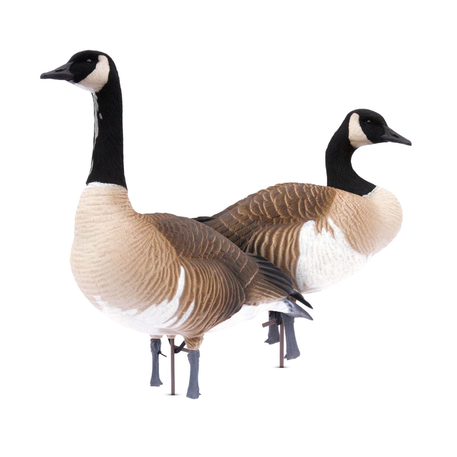 Honkers | Quills 2-Pack – Dave Smith Decoys