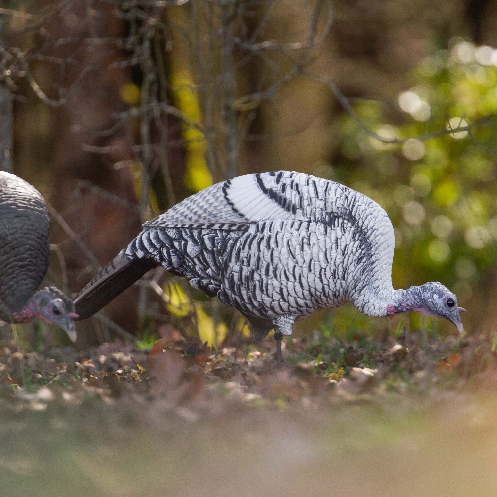 Limited Smoke Phase | Feeding Hen – Dave Smith Decoys