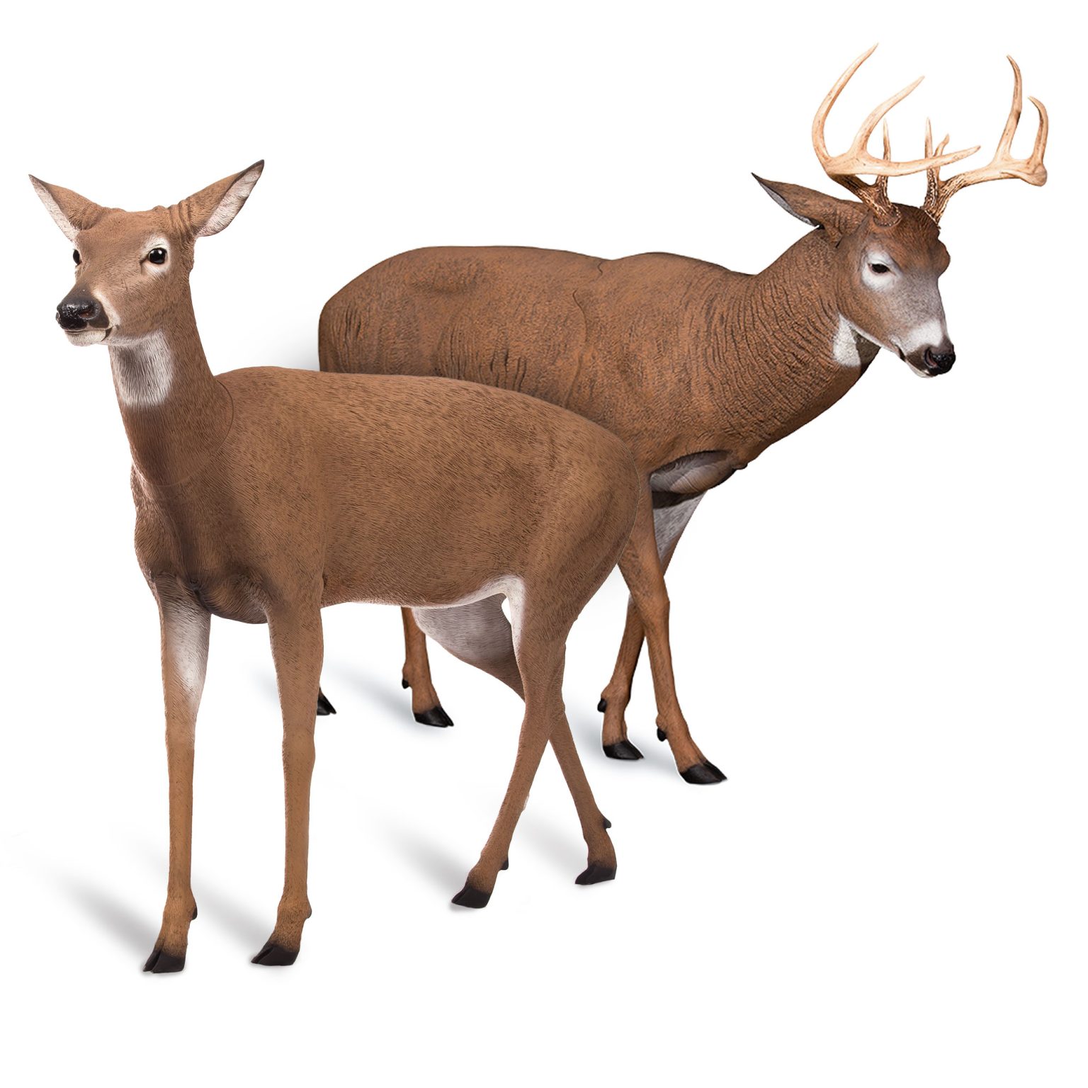 Deer Pair – Dave Smith Decoys
