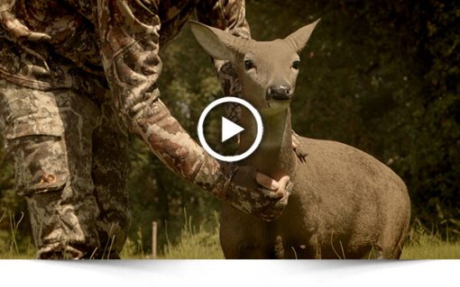 Standing Doe – Dave Smith Decoys