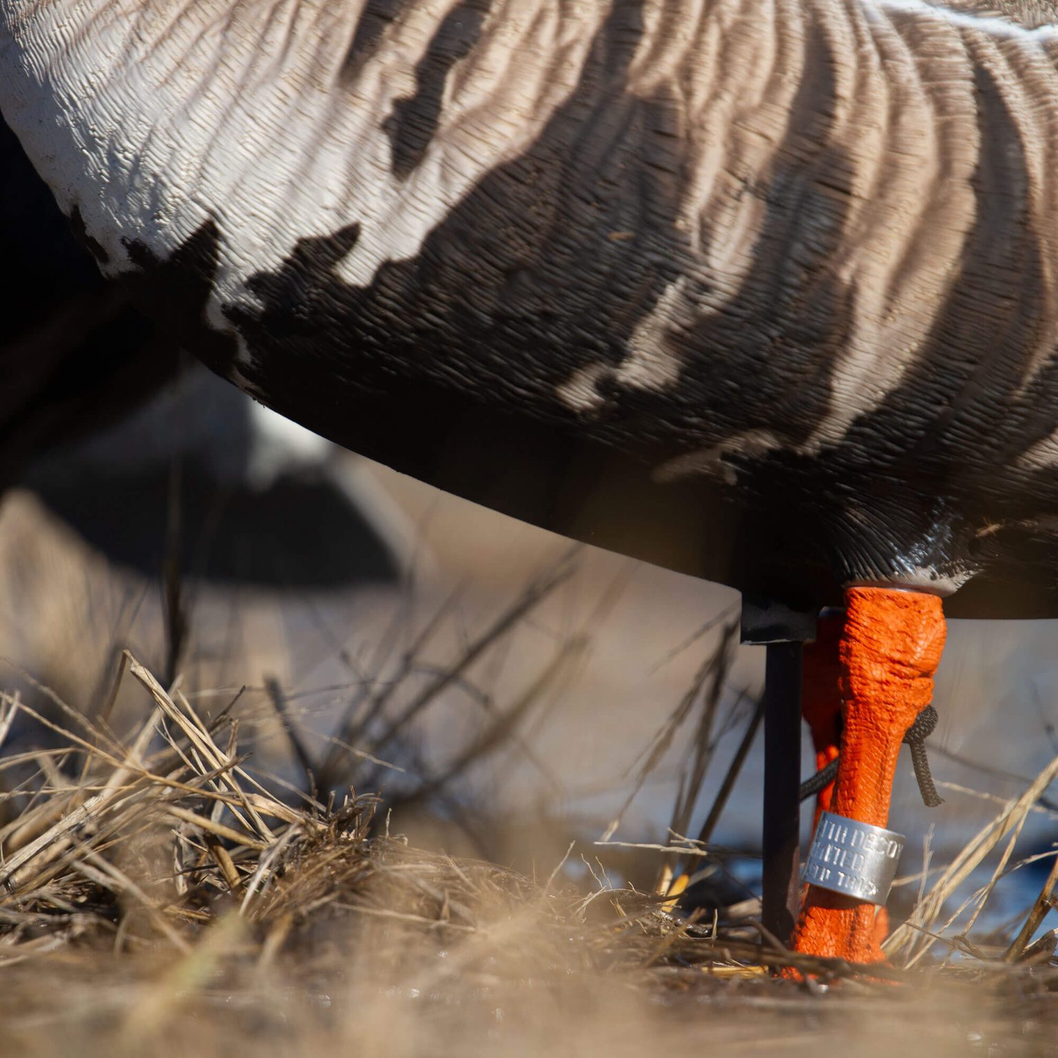 Limited Speck | Tarbelly Pair – Dave Smith Decoys