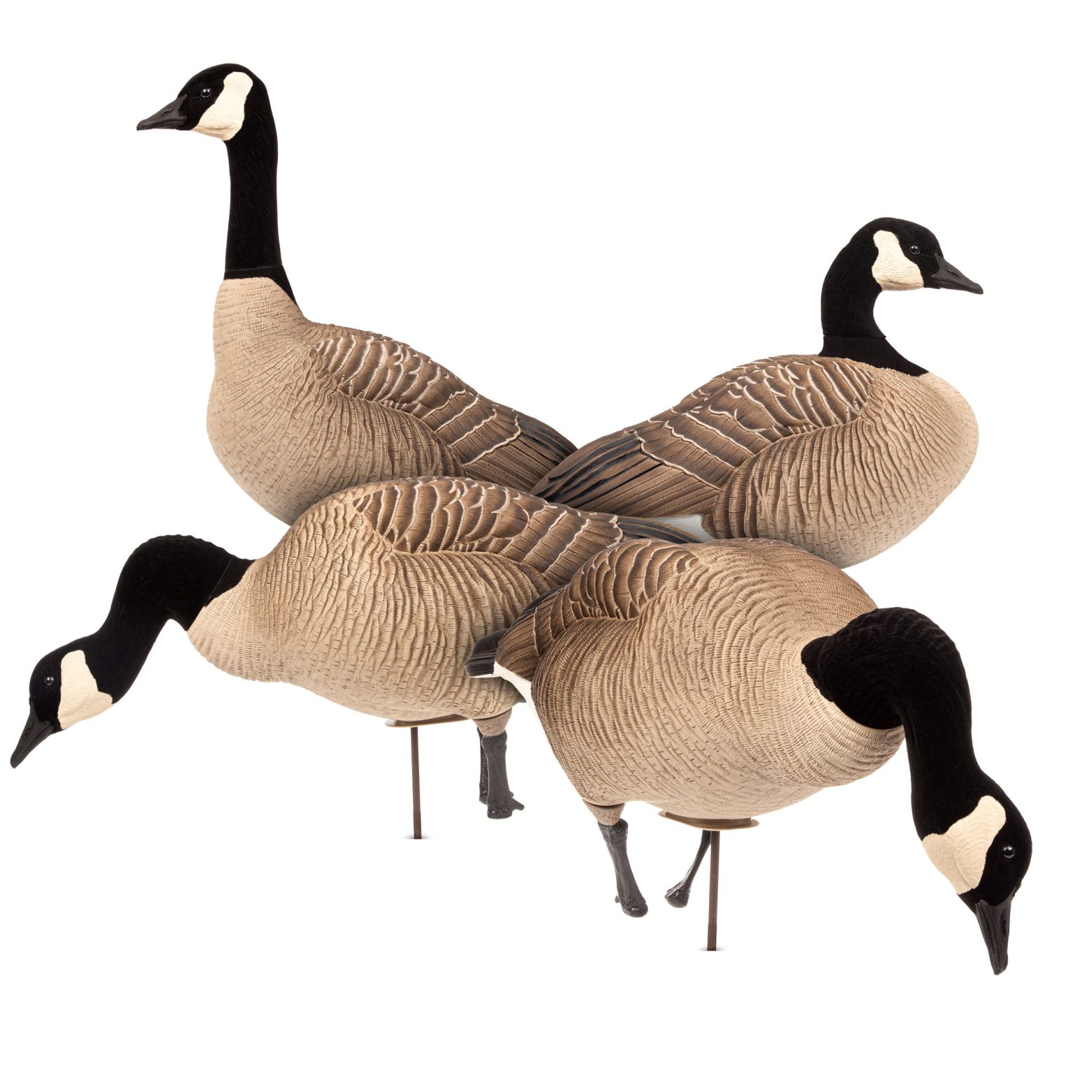 Maximas | Full Body 4-Pack – Dave Smith Decoys