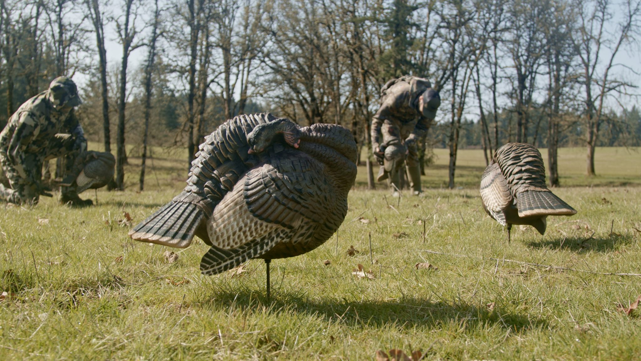 Turkey Flock – Dave Smith Decoys