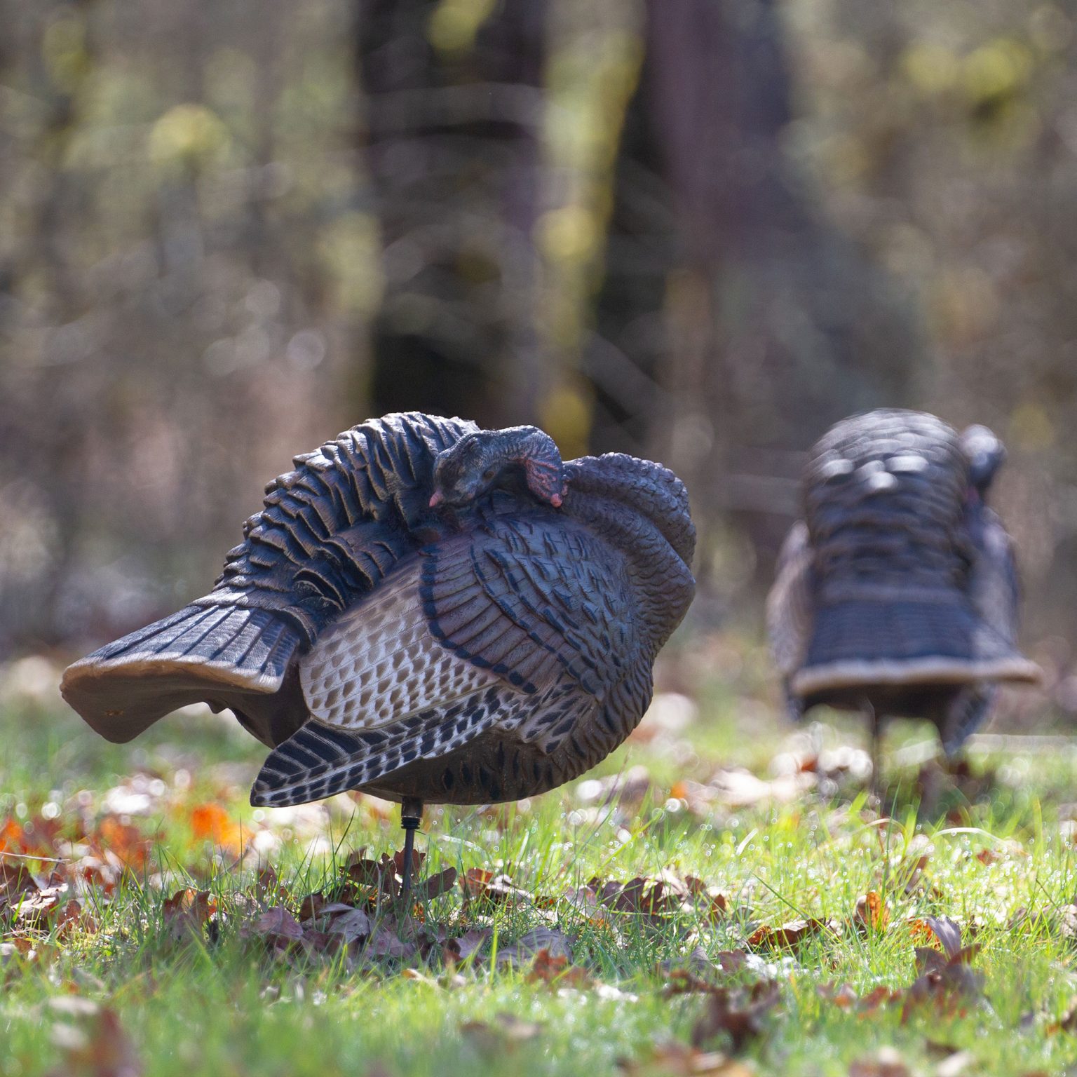 Preening Pair – Dave Smith Decoys