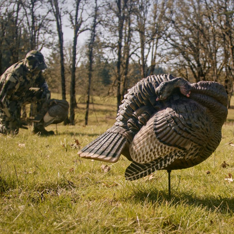Preening Pair – Dave Smith Decoys