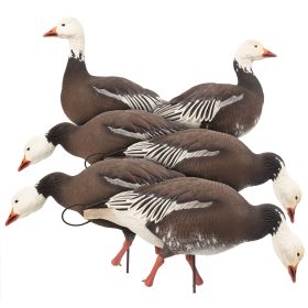 Snow Goose | Combo 6-Pack – Dave Smith Decoys