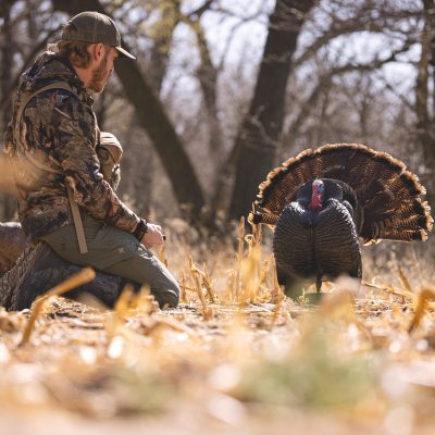 Turkey Decoys – Dave Smith Decoys
