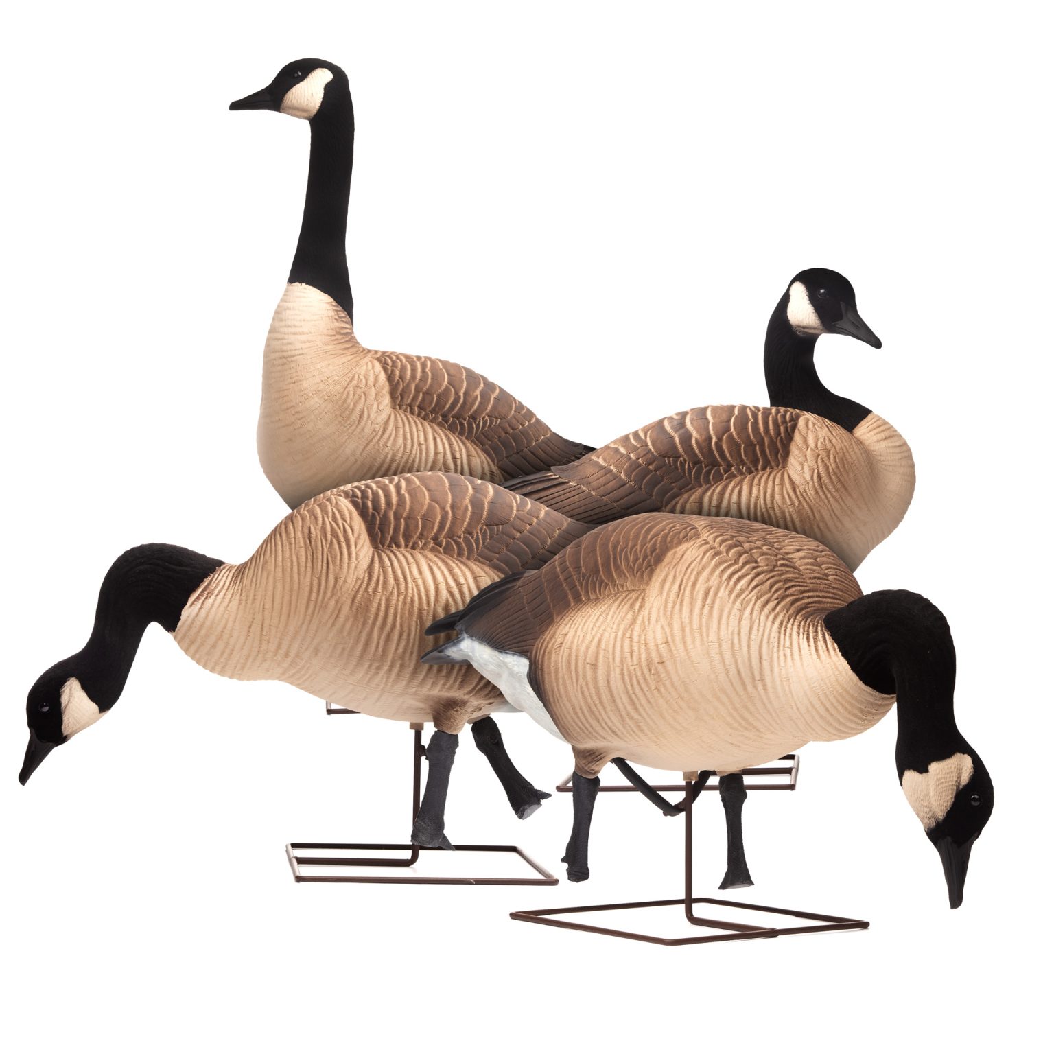Goose Decoys – Dave Smith Decoys