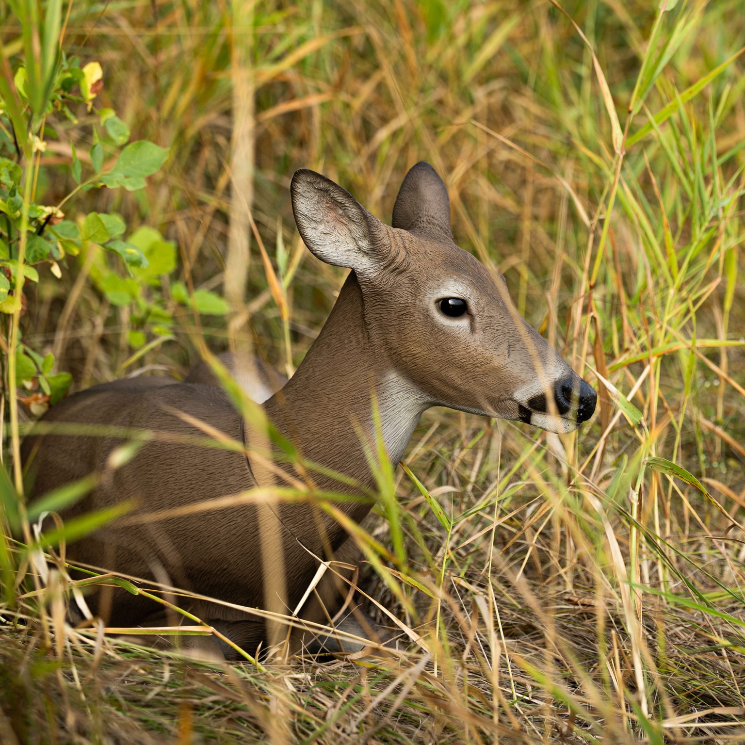Bedded Doe – Dave Smith Decoys