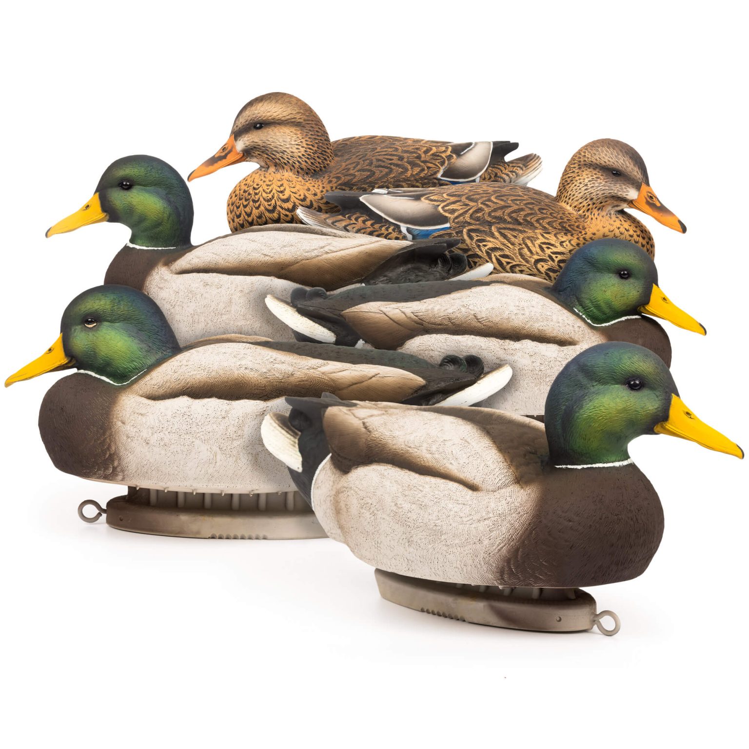 A.C.E. Mallards | 6-Pack – Dave Smith Decoys