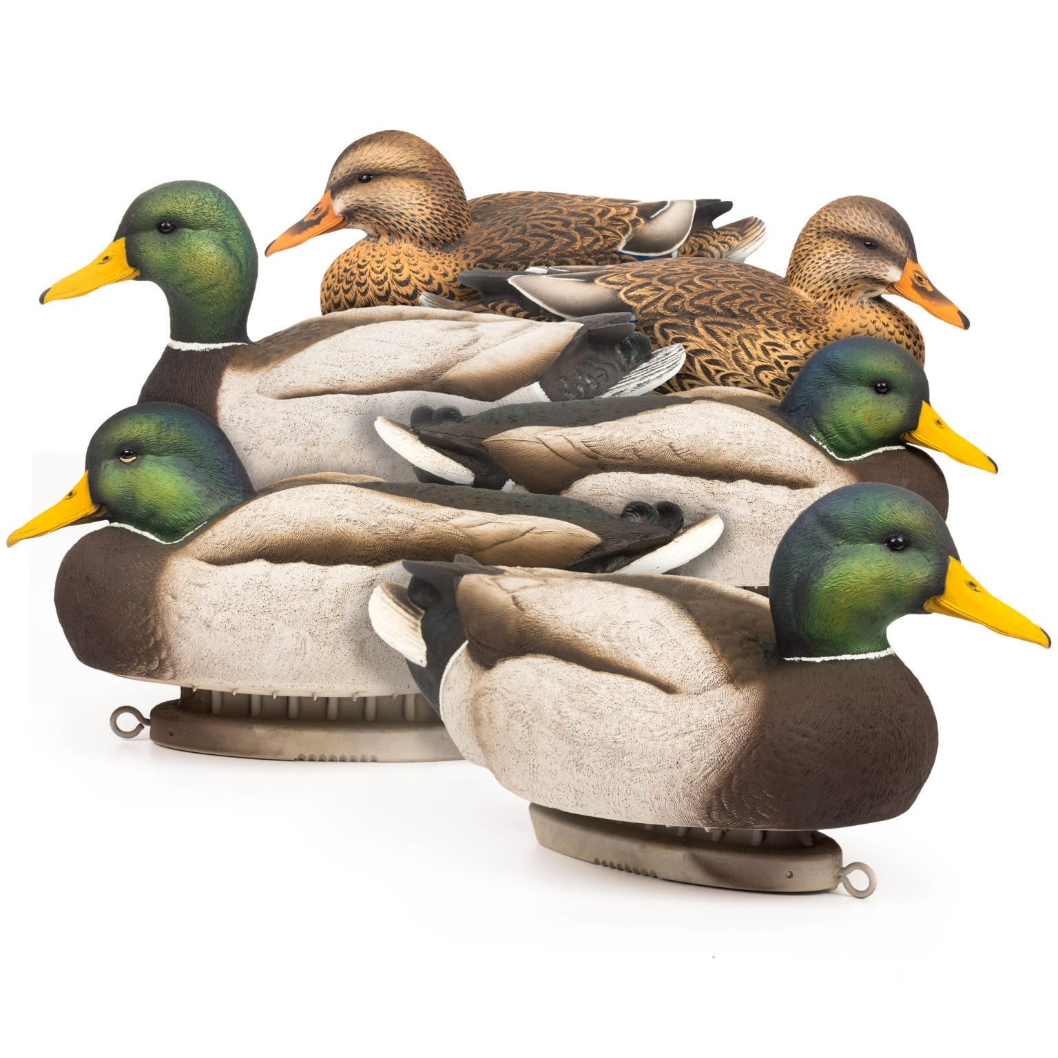 A.C.E. Mallards | Floater 6-Pack – Dave Smith Decoys