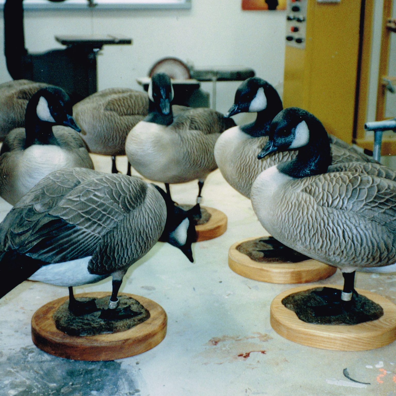 Limited Series Auction | 25th Anniversary Tav – Dave Smith Decoys