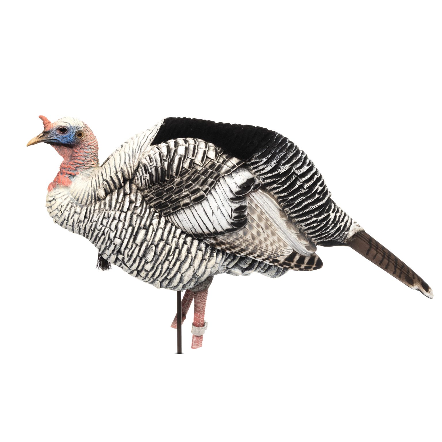 Limited Series | Smoke Phase Jake – Dave Smith Decoys