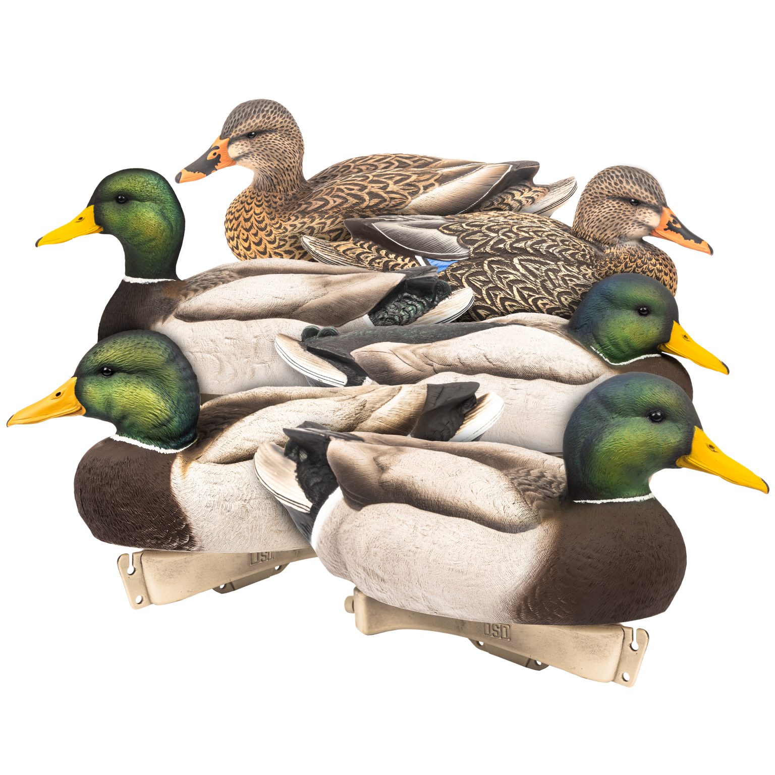 Maxima Mallards | Floater 6-Pack – Dave Smith Decoys