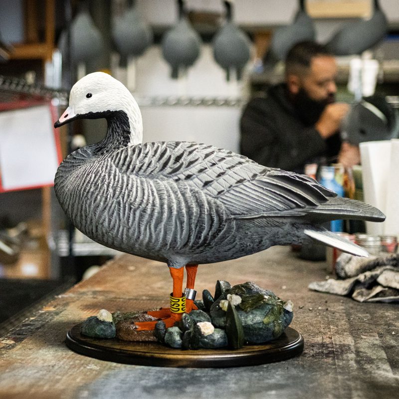 Limited Series Auction | Emperor Goose – Dave Smith Decoys
