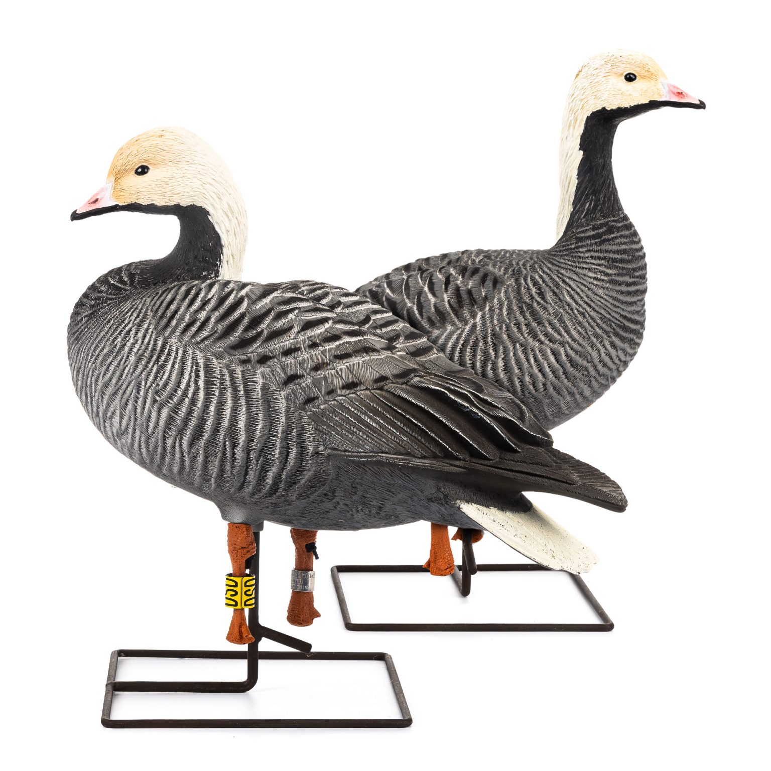 Limited Series | Emperor Pair – Dave Smith Decoys