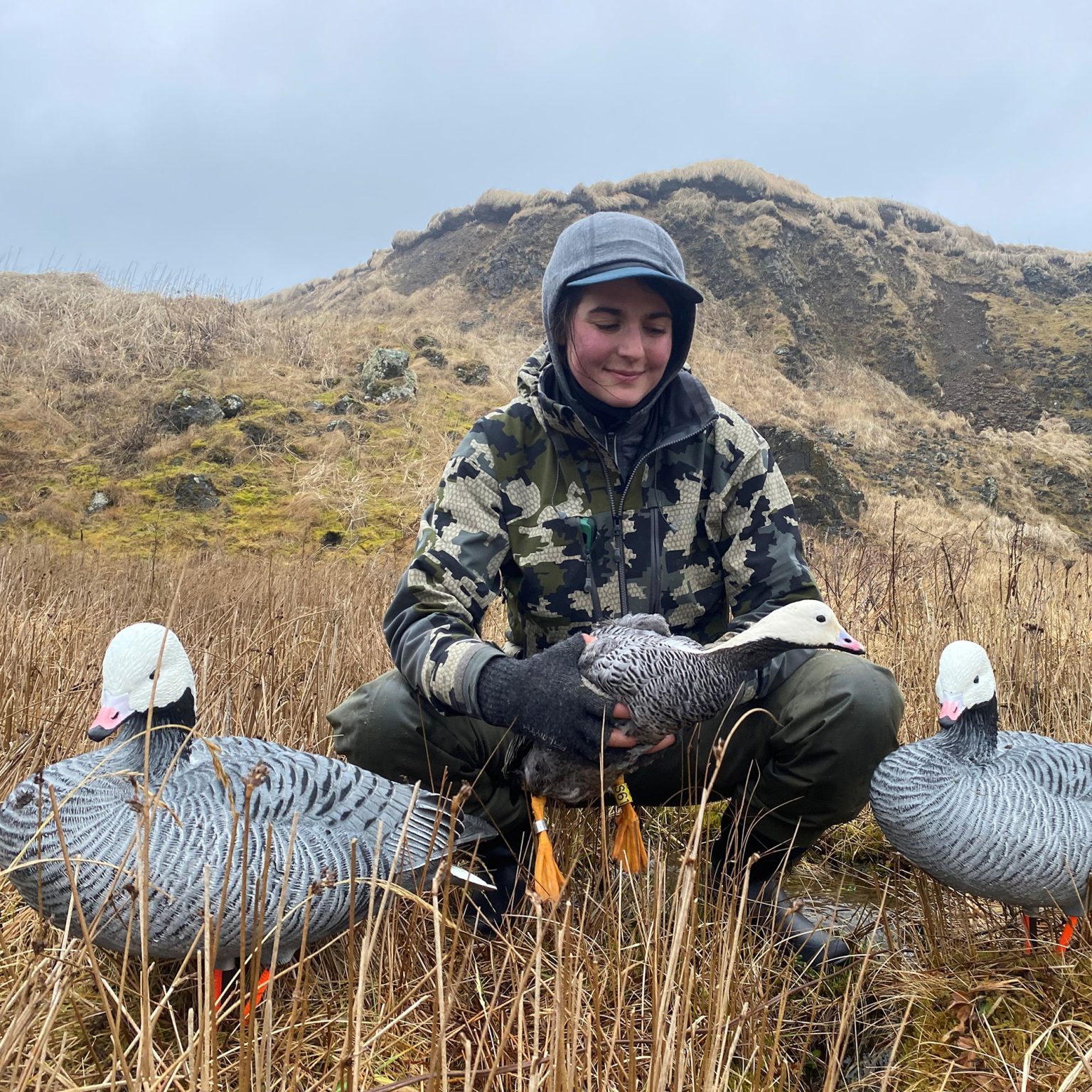 Limited Series | Emperor Pair – Dave Smith Decoys